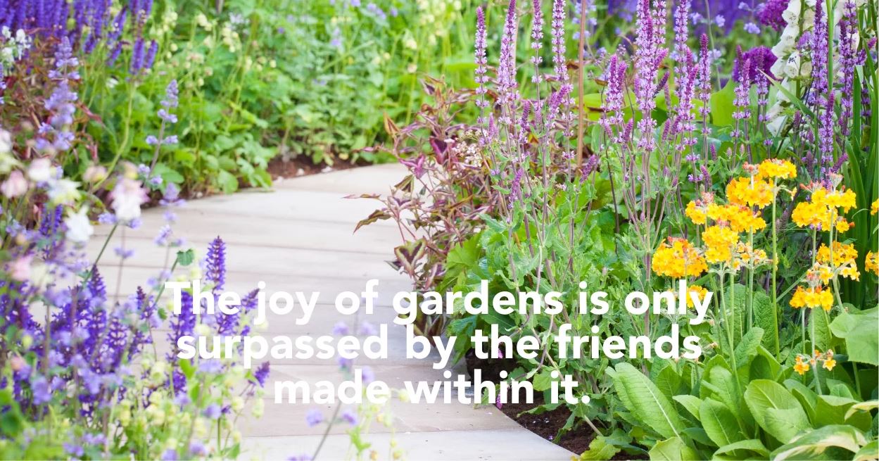 Devotions: Connections - Integricare